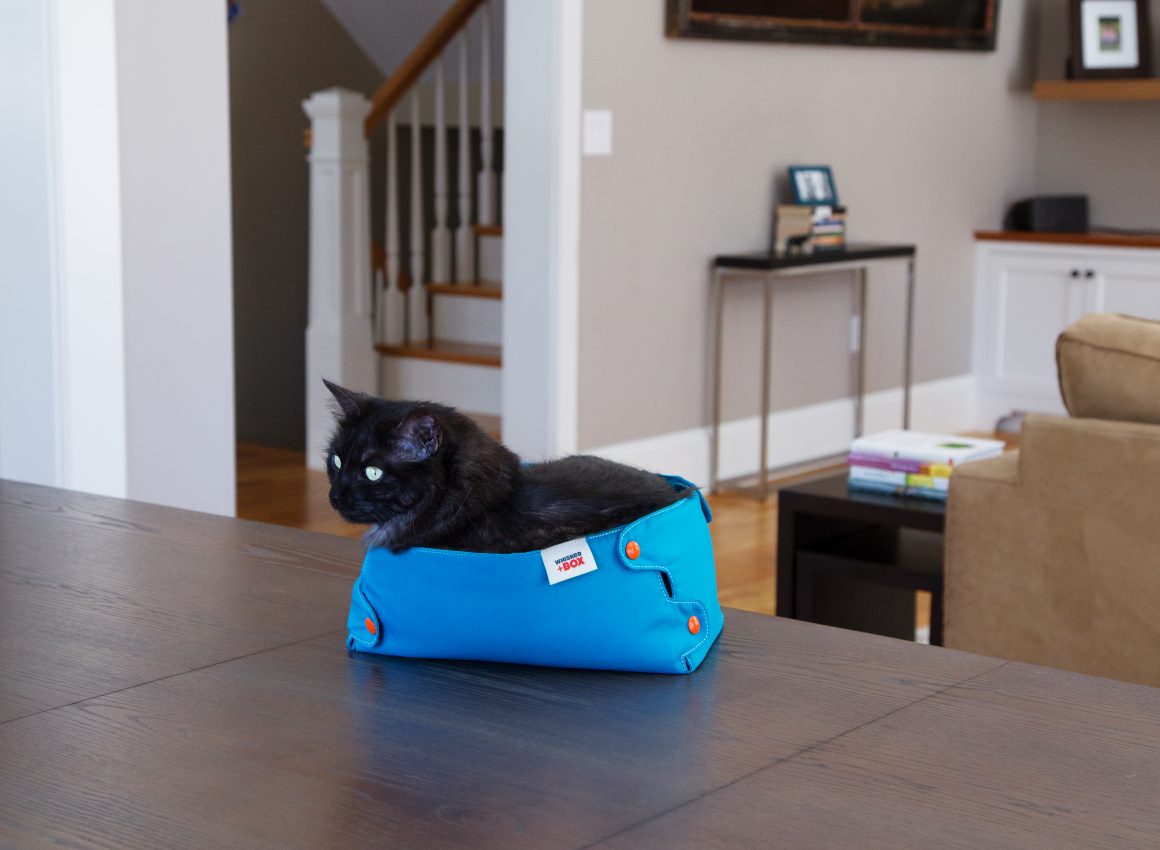 Made in the USA Pet Products for Your Furry Friends – Discover What's ...