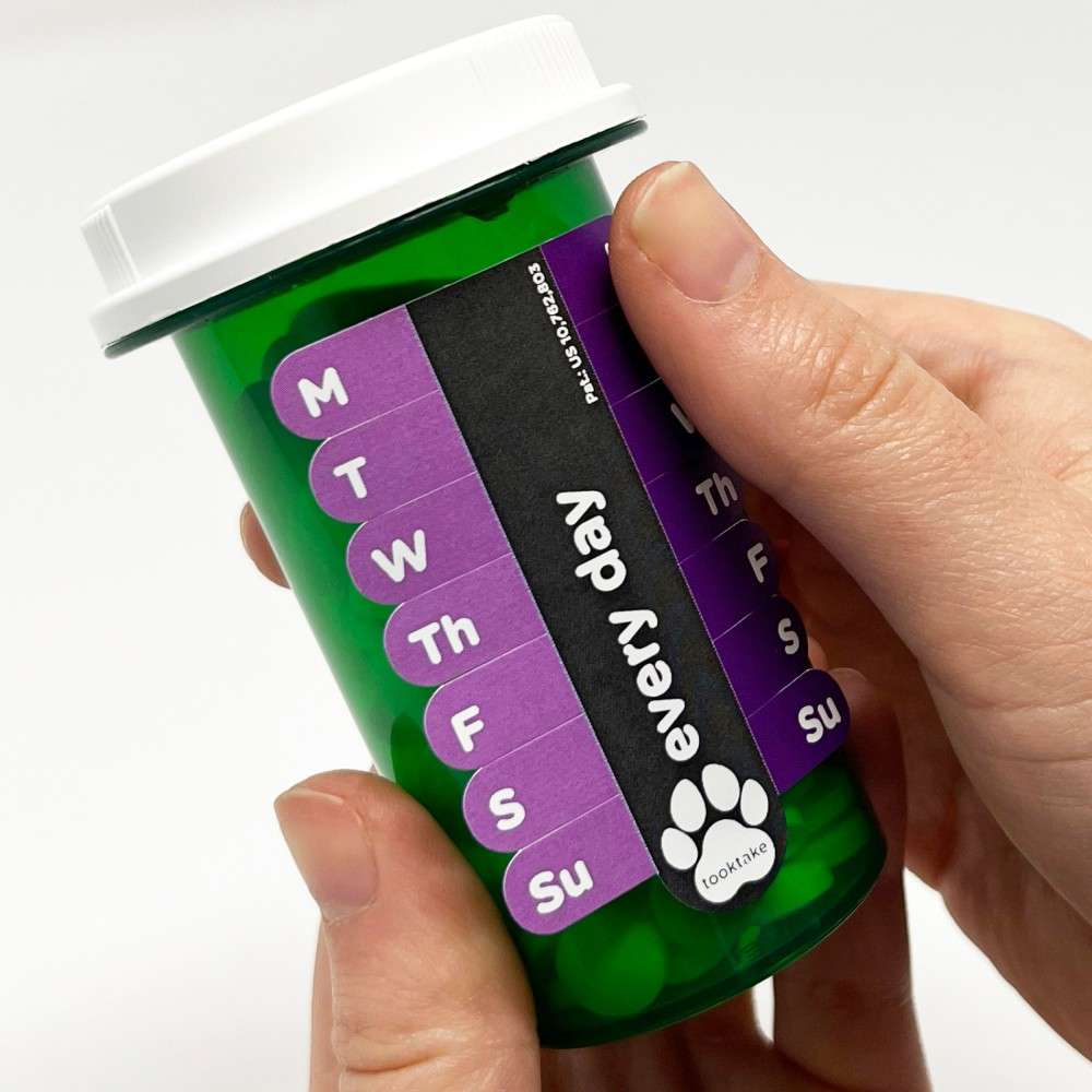 10 Paw-somely Unique Gifts For Cat Lovers – Discover What's Next | Grommet